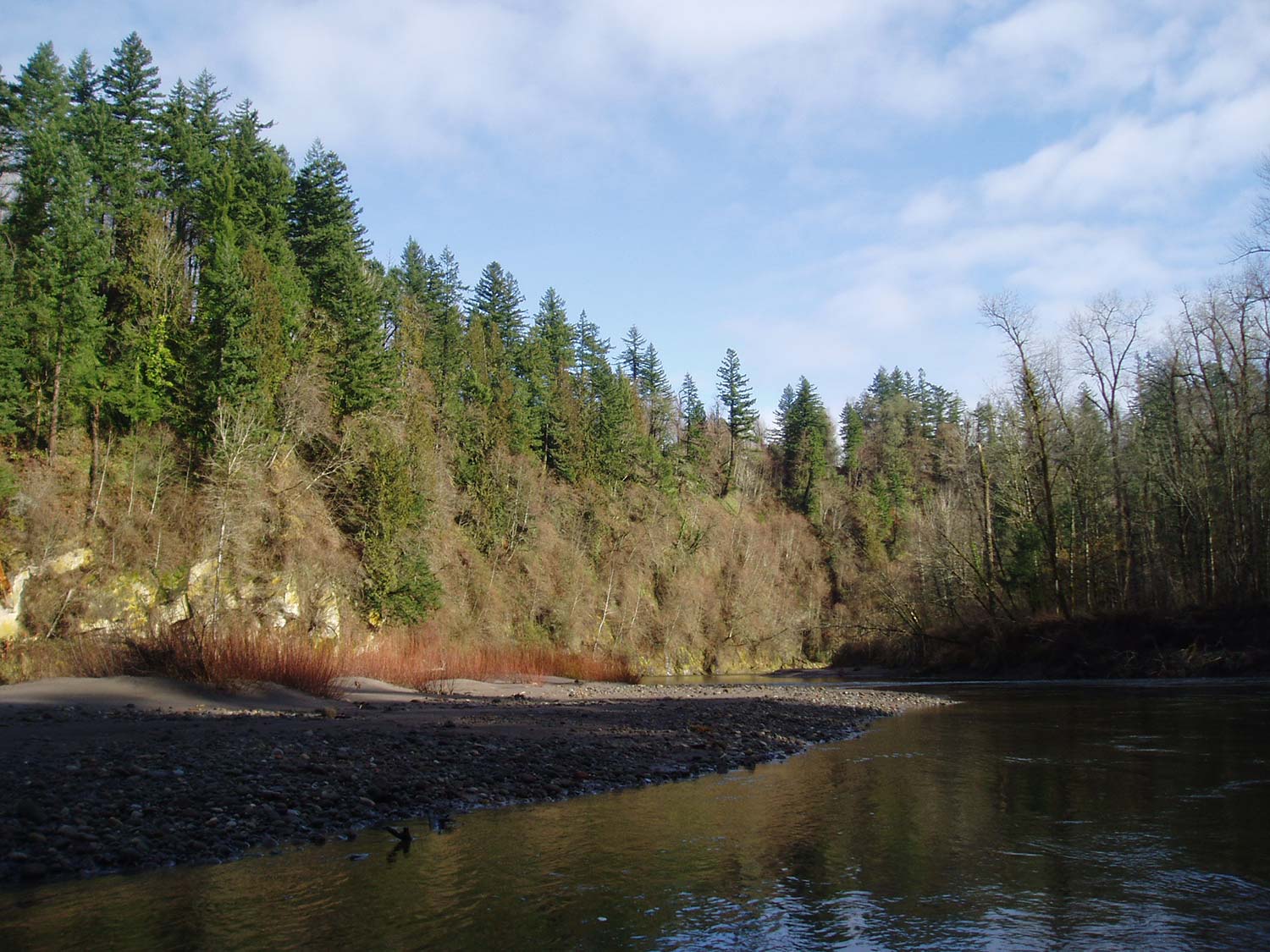 Elwha Dam Removal - Wild Salmon Center