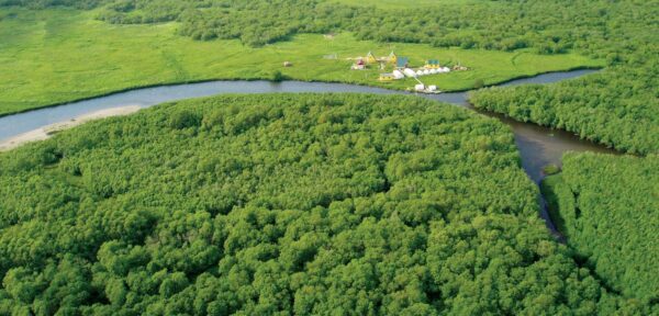 Kol Protected Forever - Wild Salmon Center