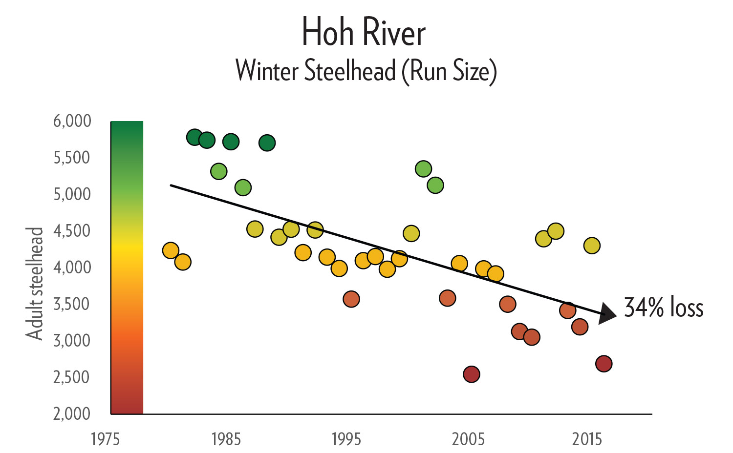 Anglers and Tribes Step Up for Washington Steelhead - Wild Salmon Center