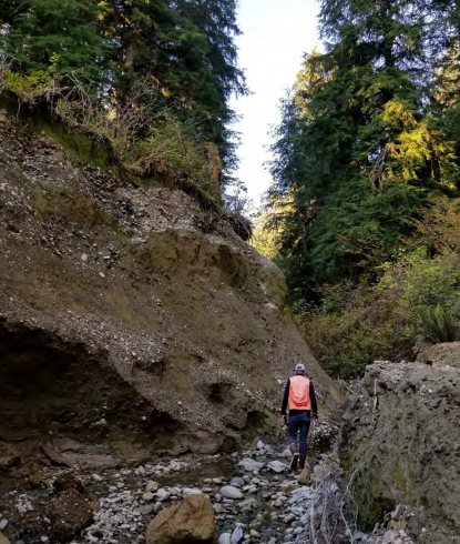 A Greenlight for a Key Fish Barrier Project - Wild Salmon Center