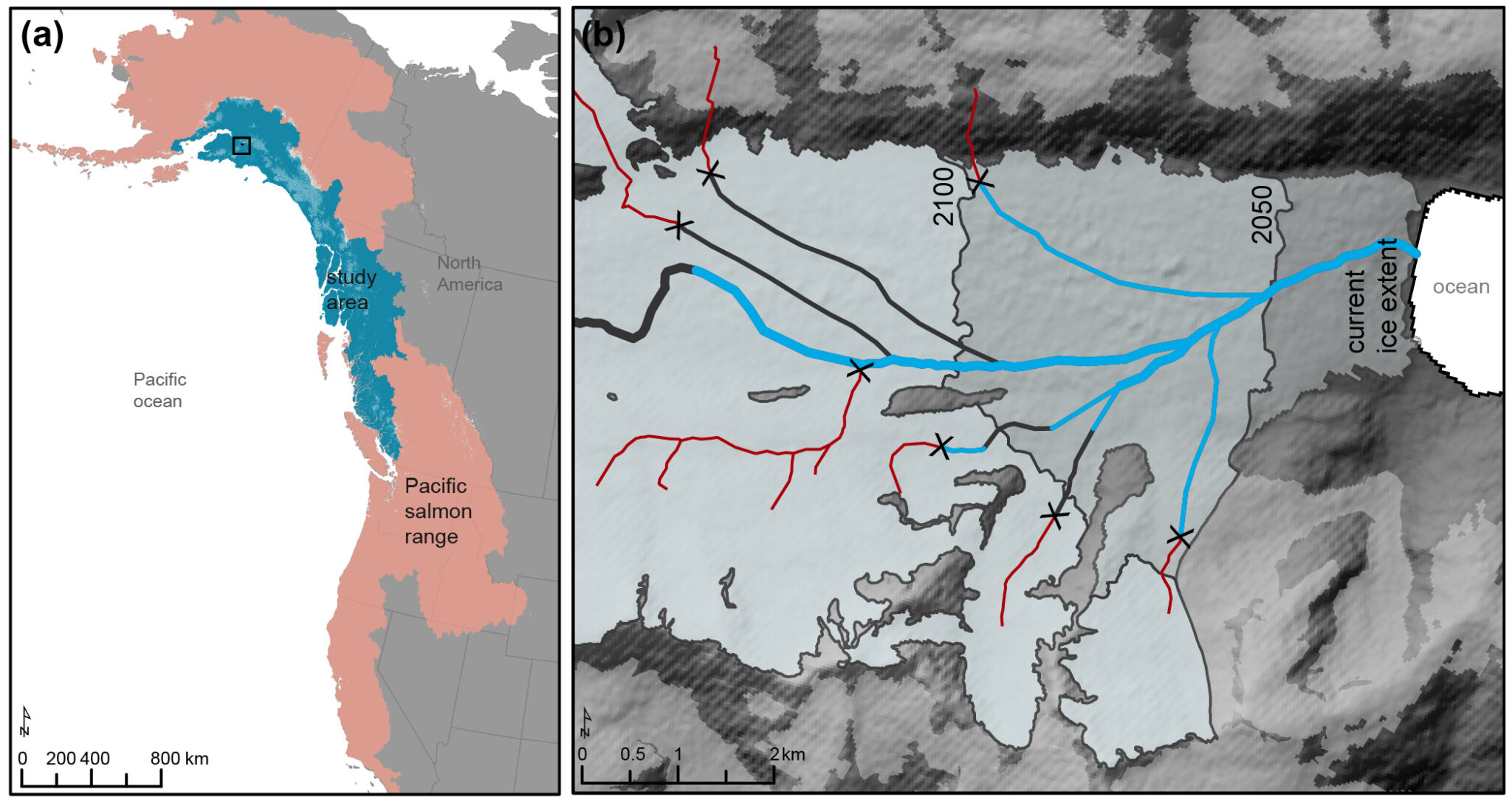 Saving the Salmon Strongholds of the Future - Wild Salmon Center