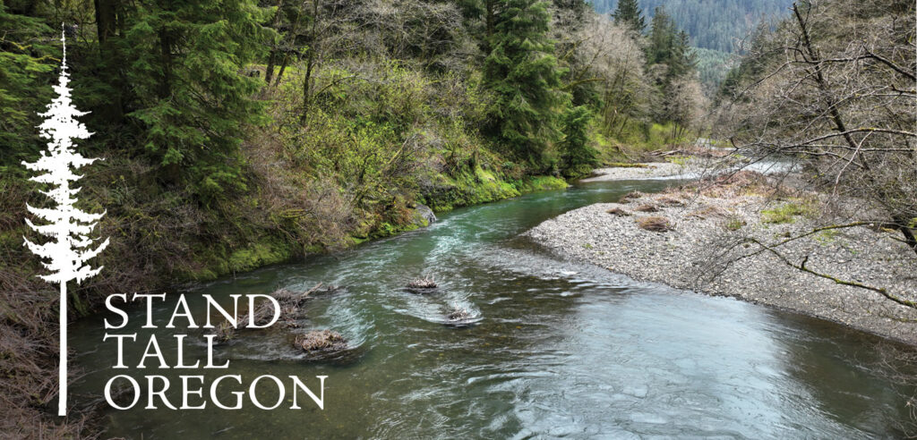 Oregon State Forest Habitat Plan Clears Key Hurdle - Wild Salmon Center