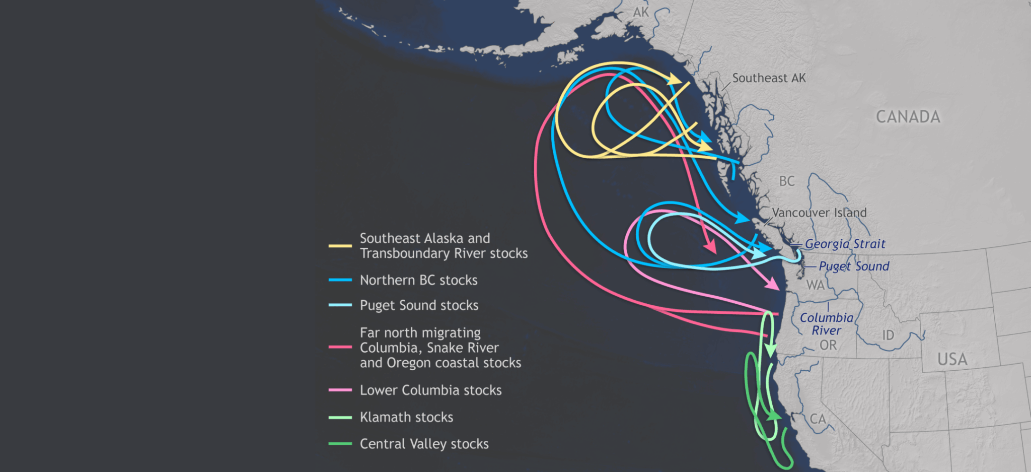 The Taku: a Salmon Stronghold to Watch - Wild Salmon Center