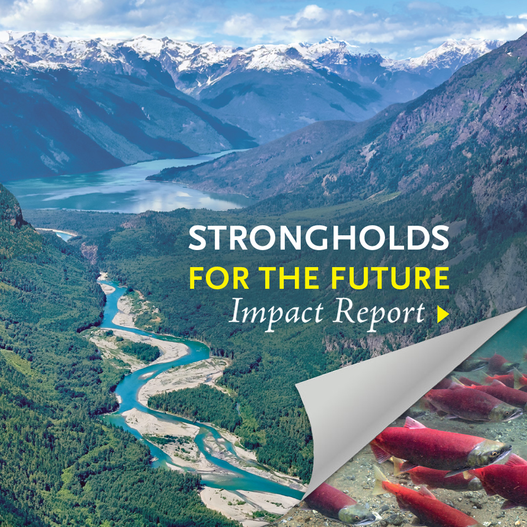 2024 Impact Report - Wild Salmon Center